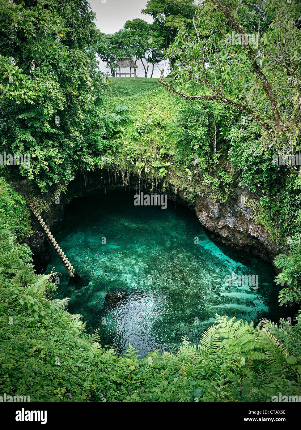 Fale and ladder To Sua Ocean Trench, laggon and sea, Lotofaga, Upolu ...