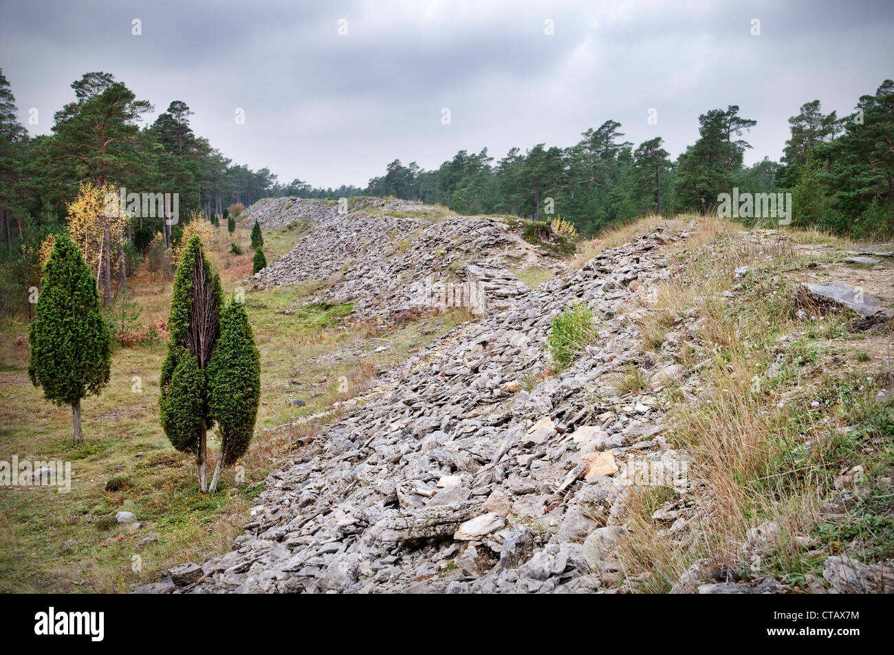 Germanic tribe of northern europe hi-res stock photography and images ...