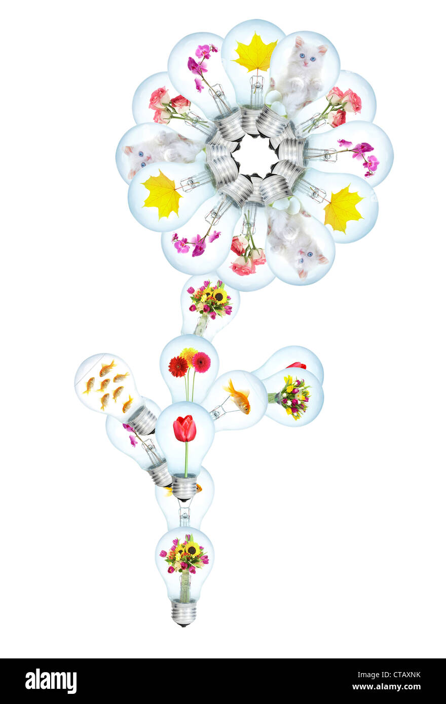 Flower from electrobulbs on a white background Stock Photo - Alamy