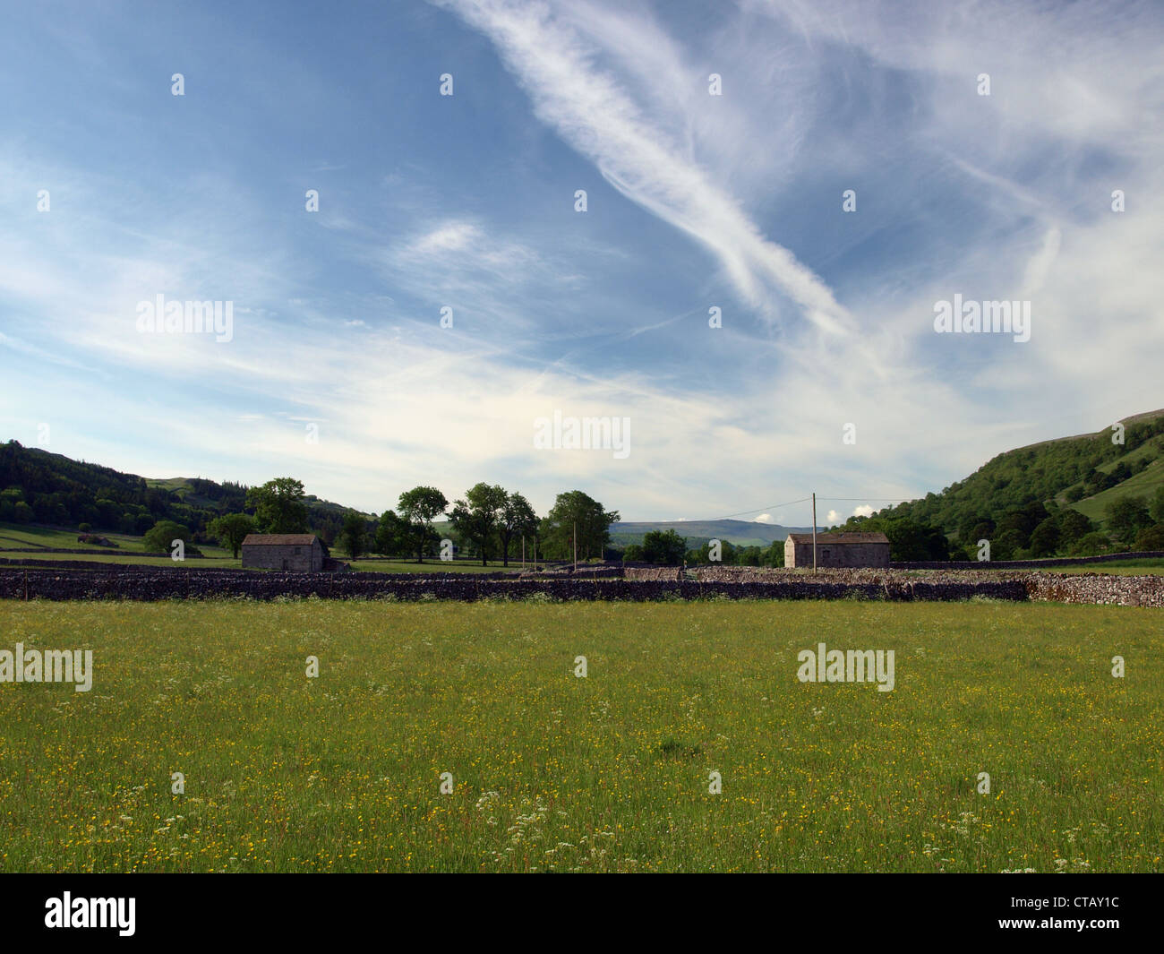 Hawkswick Head and Town End field barns near Kettlewell Stock Photo - Alamy
