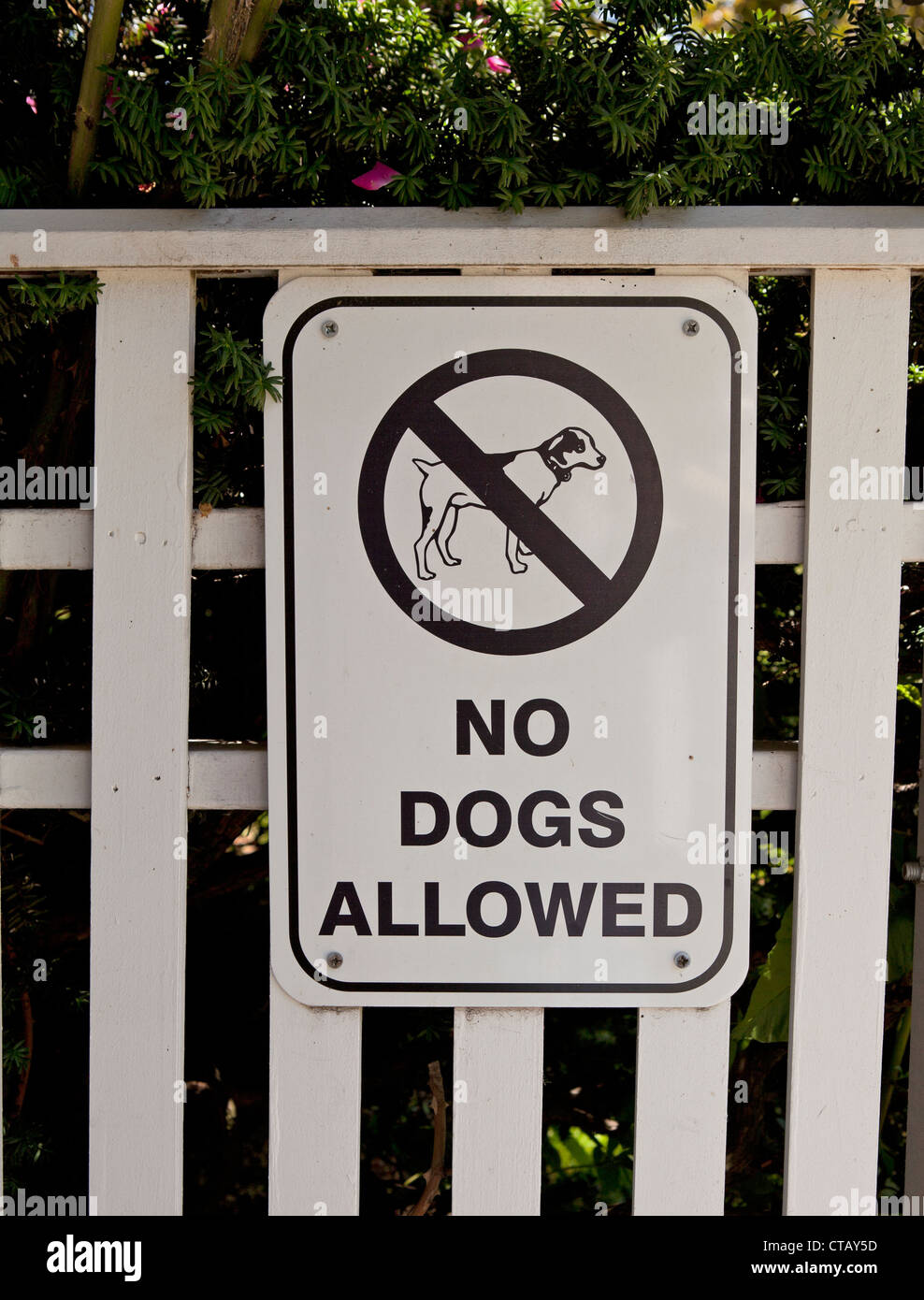 A sign on a fence says that no dogs are allowed Stock Photo - Alamy
