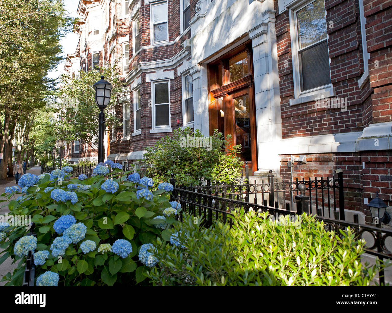 Appealing features hi-res stock photography and images - Alamy