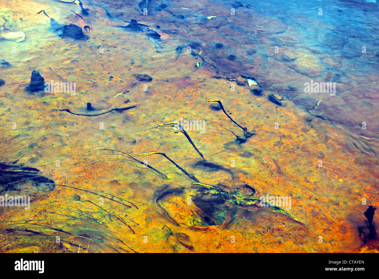 Terrace Spring, Yellowstone National Park Stock Photo - Alamy