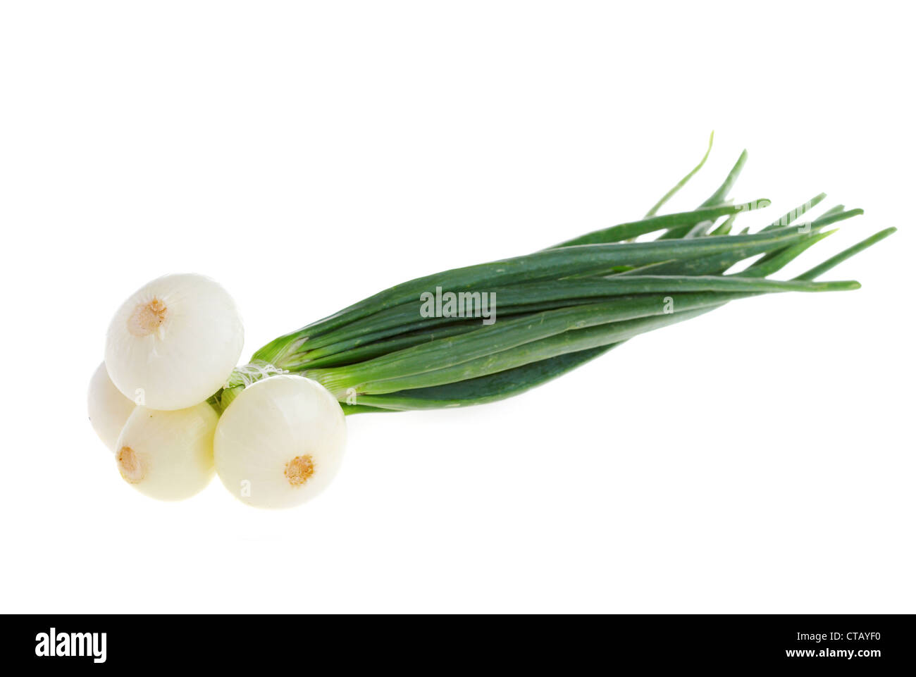Photo of a spring onions on a white background Stock Photo - Alamy