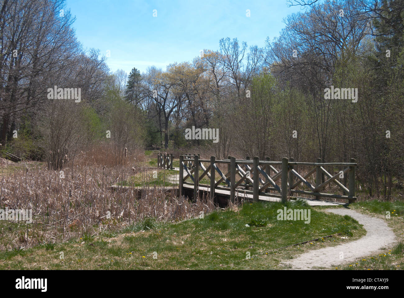 Wooden foot bridges in park Stock Photo - Alamy