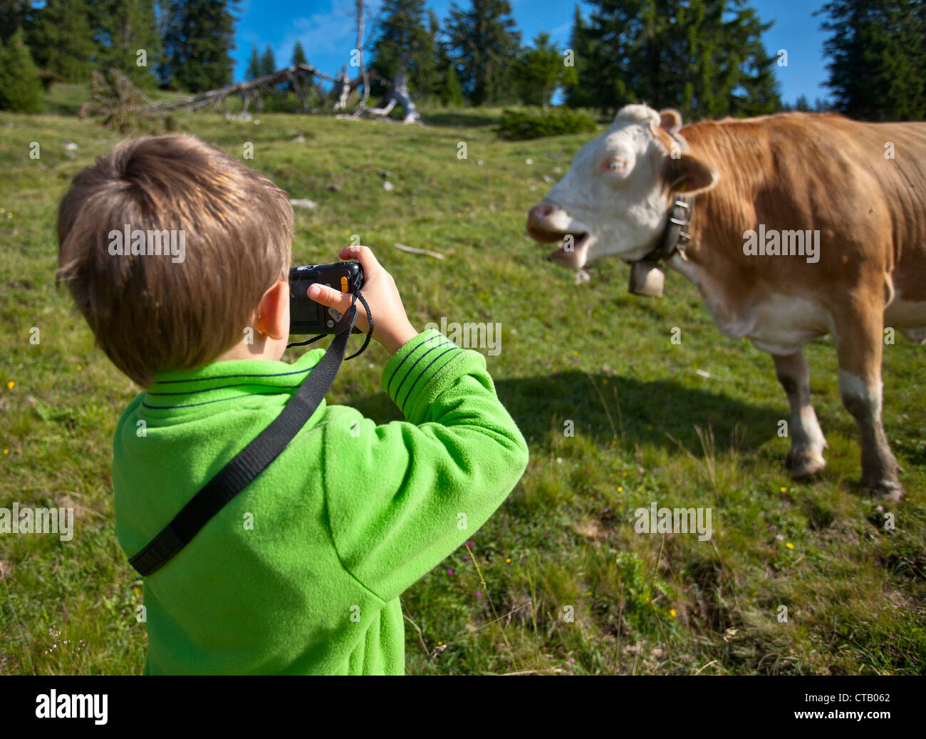 Boy With A Cattle High Resolution Stock Photography and Images - Alamy