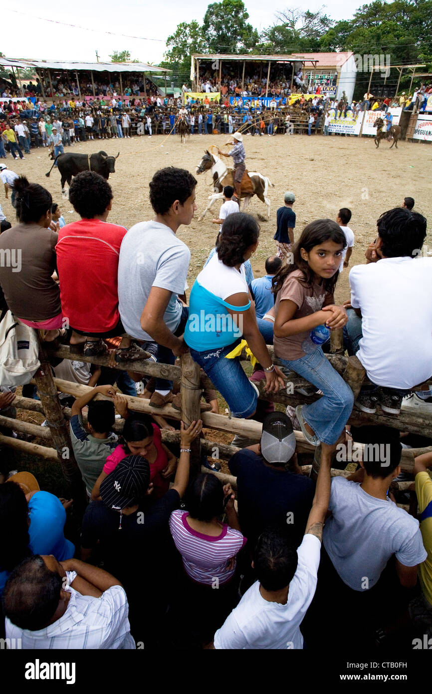 Rodeo bull hi-res stock photography and images - Alamy