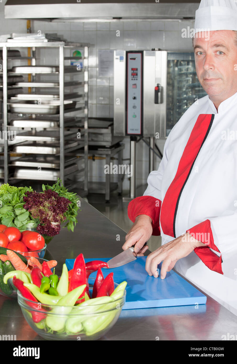 Portrait of smart chef preparing delicious meal for customer Stock ...