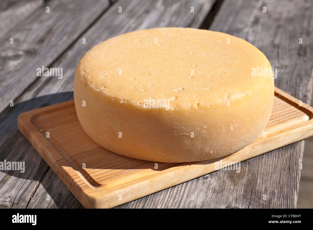 Cheese wheel, Hofbauern-Alm, Kampenwand, Chiemgau, Upper Bavaria ...