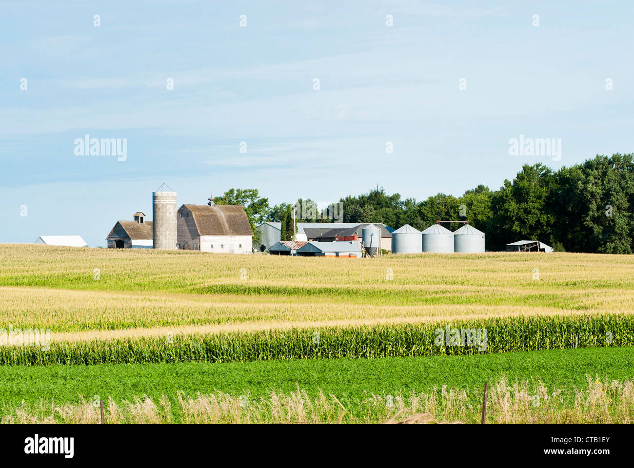 Farm crop field house hi-res stock photography and images - Alamy