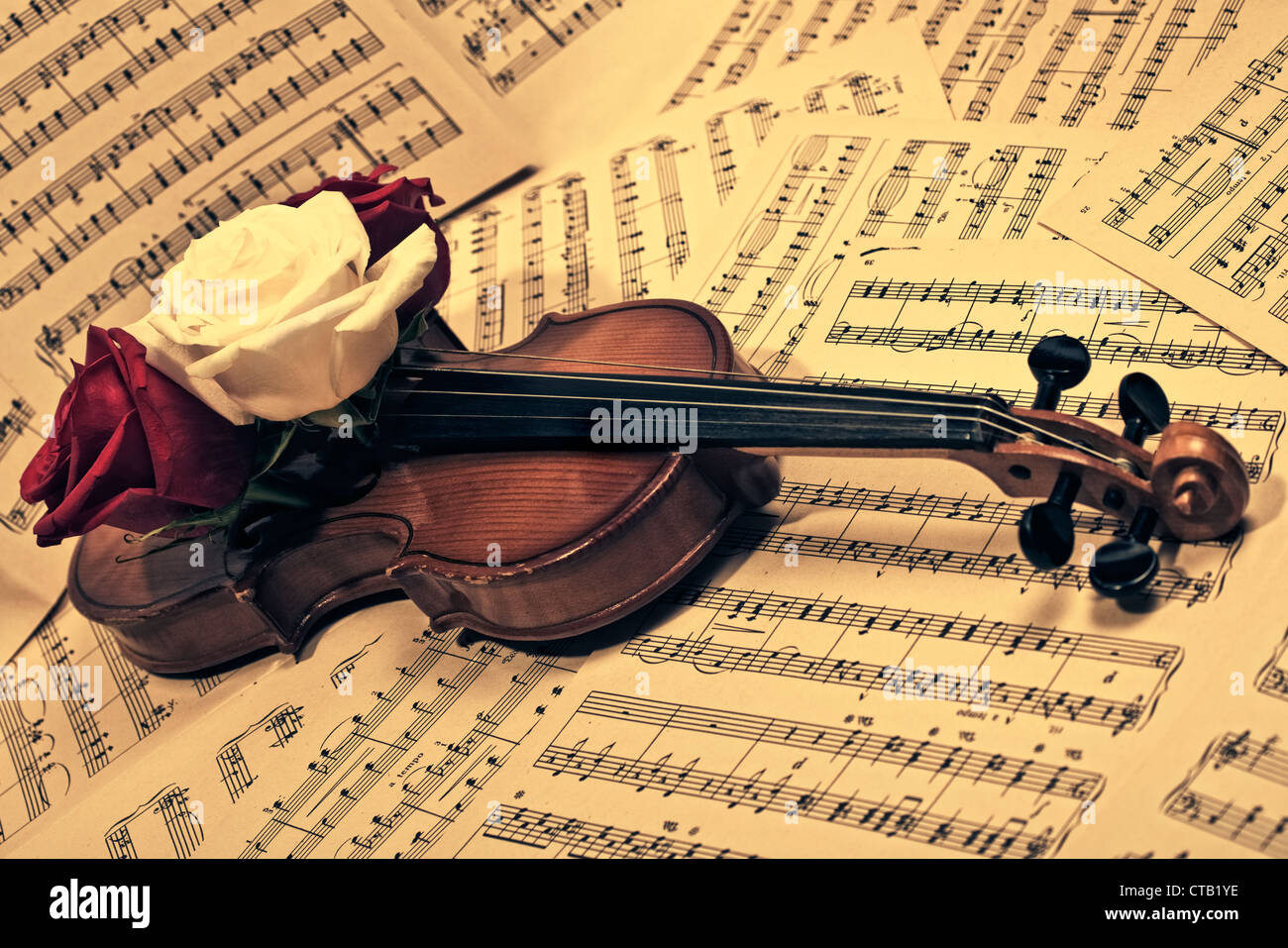 old violin with musical notes and roses closeup Stock Photo - Alamy