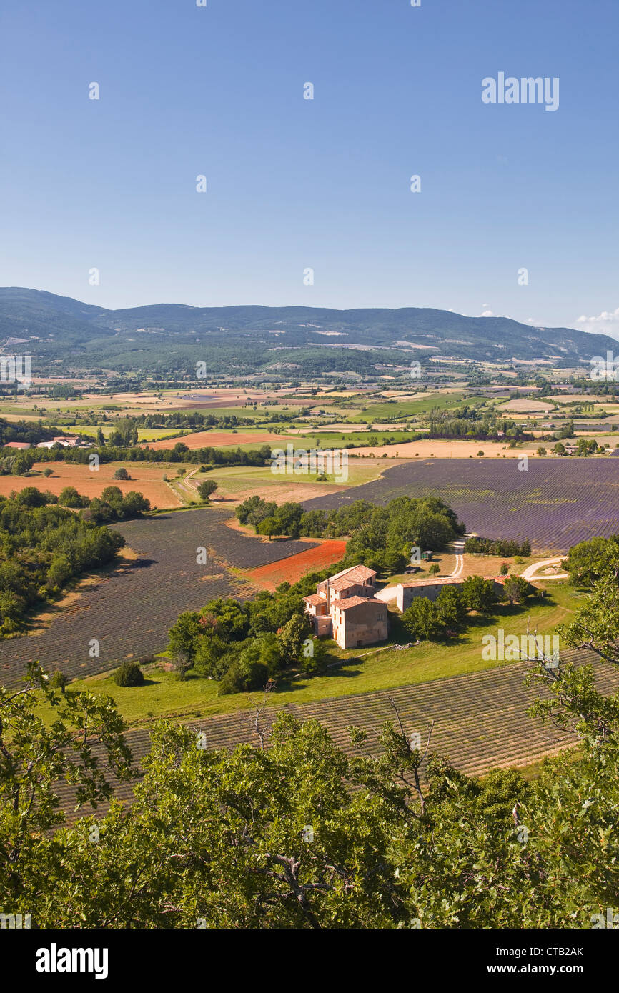 The french countryside near to Sault in Provence Stock Photo - Alamy