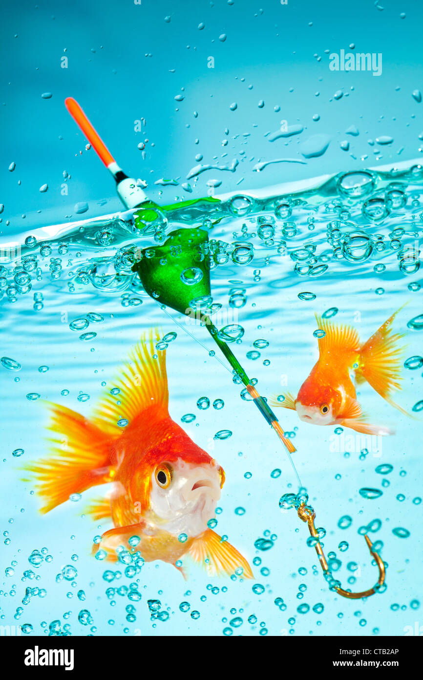 Fishing, float under water and fish Stock Photo - Alamy