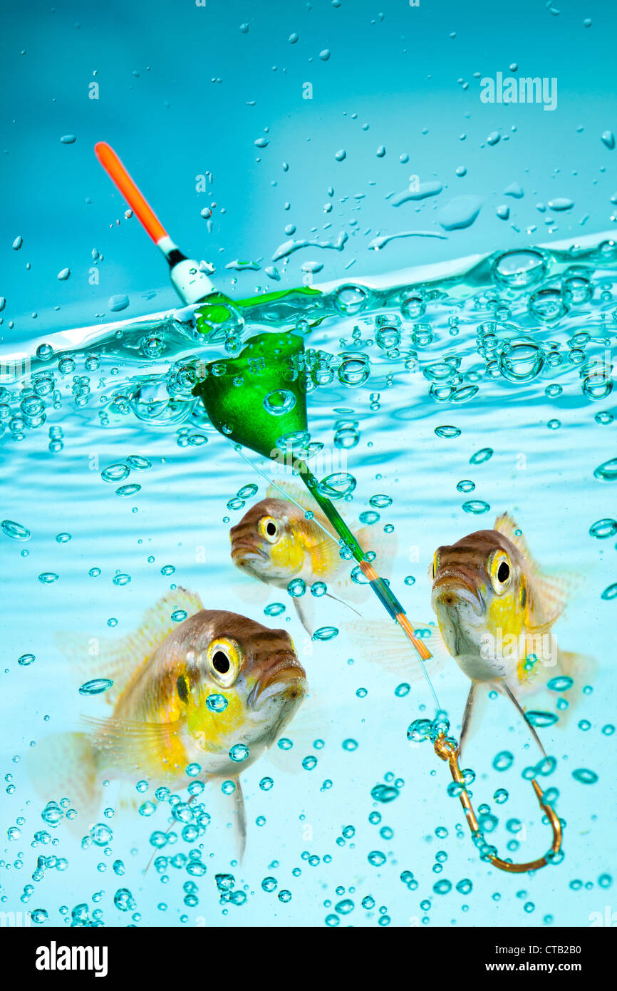 Float under water hi-res stock photography and images - Alamy