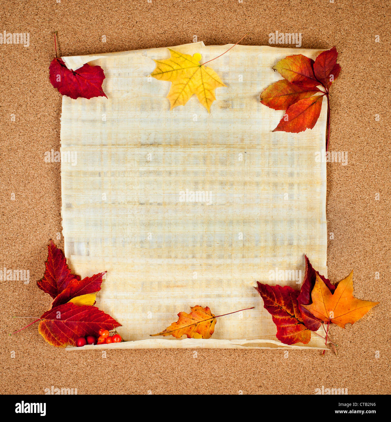 Old paper with autumn leaves, autumn note Stock Photo - Alamy