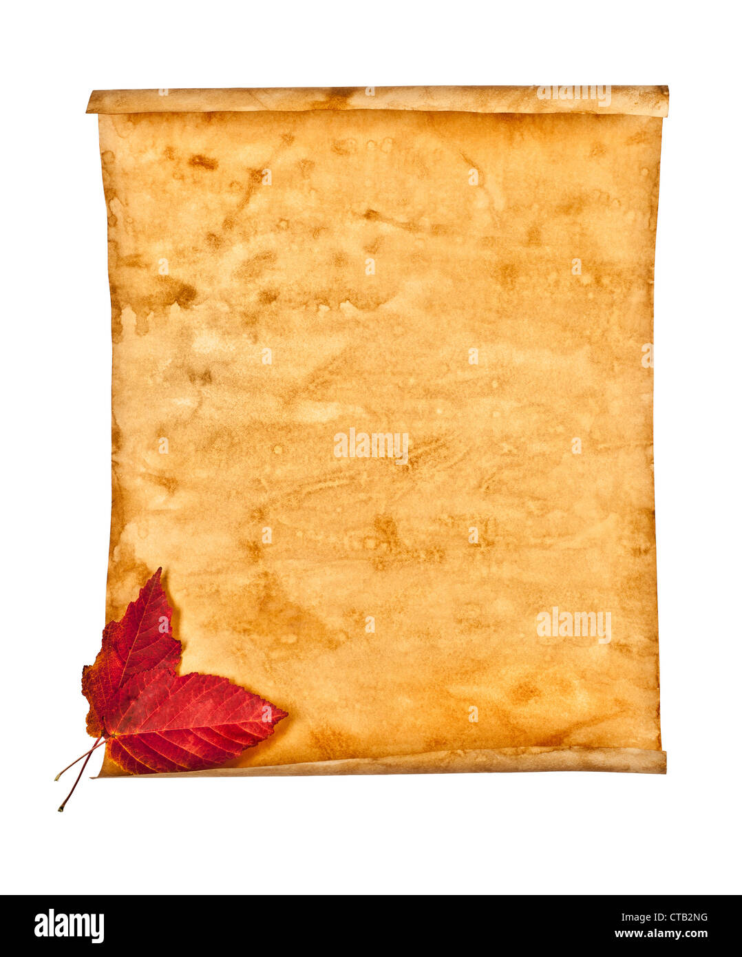 Old paper with autumn leaves on white background isolated Stock Photo ...