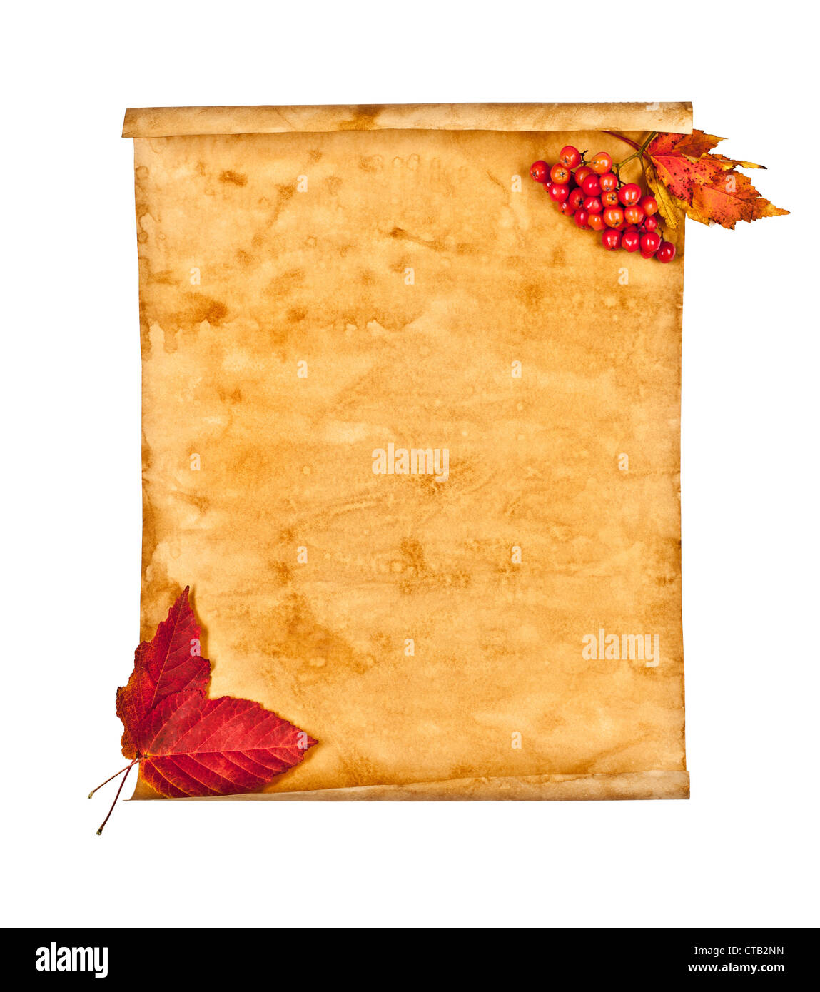 Old paper with autumn leaves on white background isolated Stock Photo ...