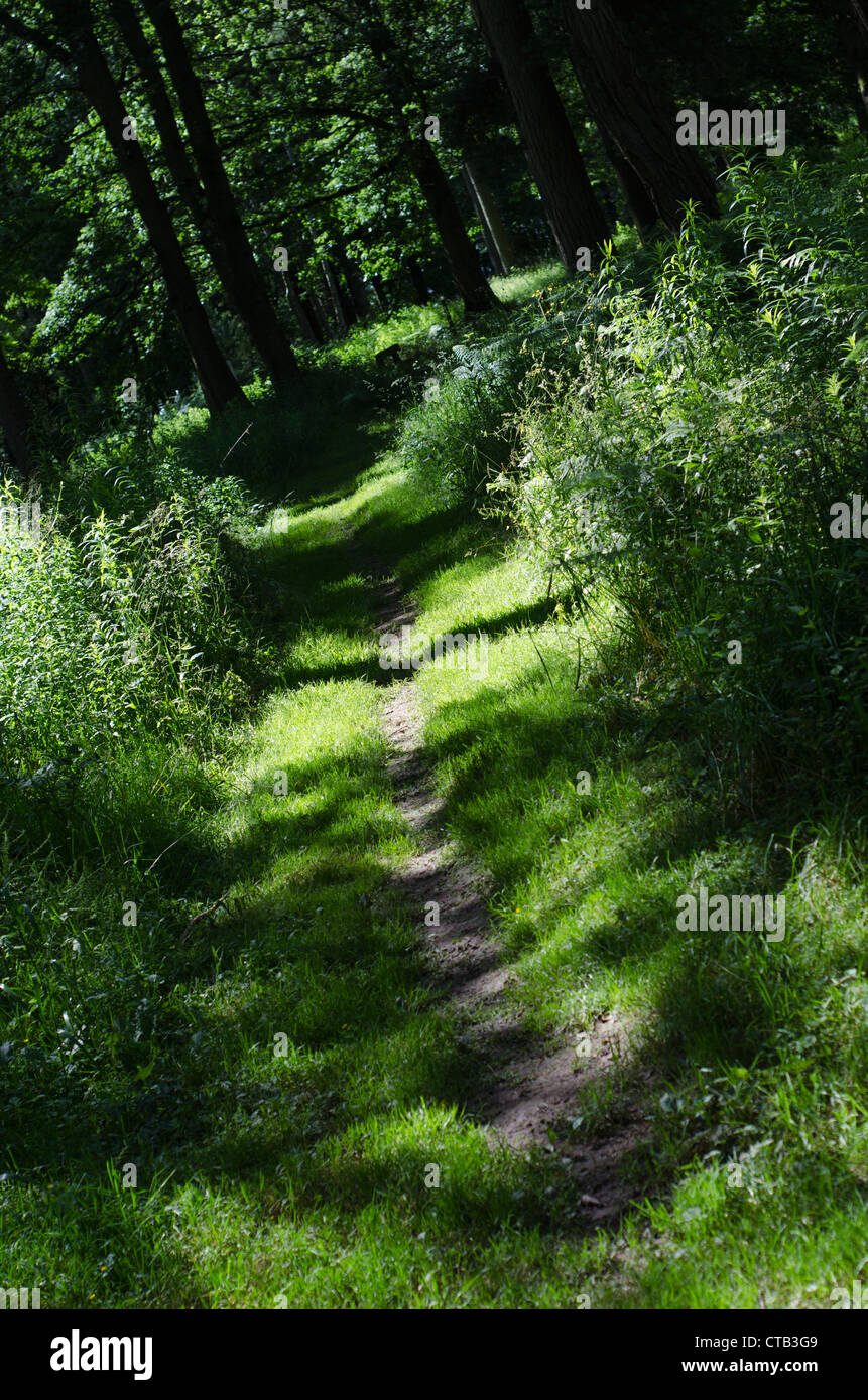 Narrow cycle track hi-res stock photography and images - Alamy