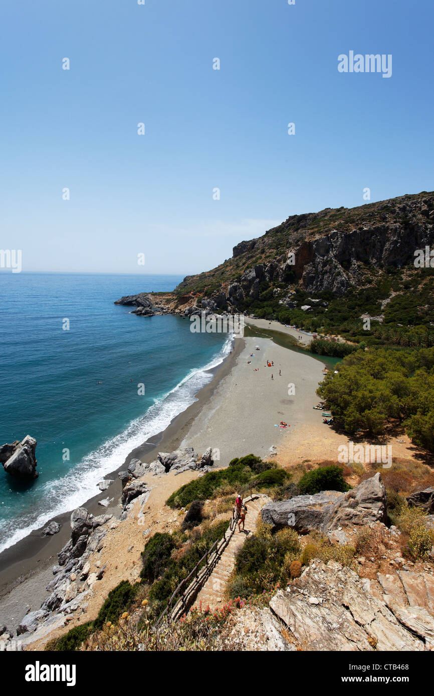 Palm tree in the preveli gorge hi-res stock photography and images - Alamy