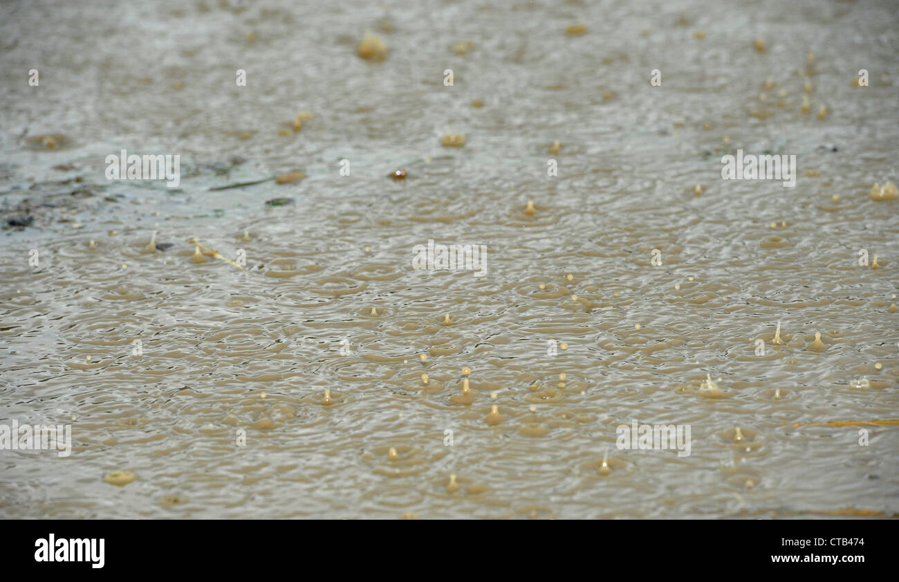 Raindrops falling into a muddy puddle Stock Photo - Alamy