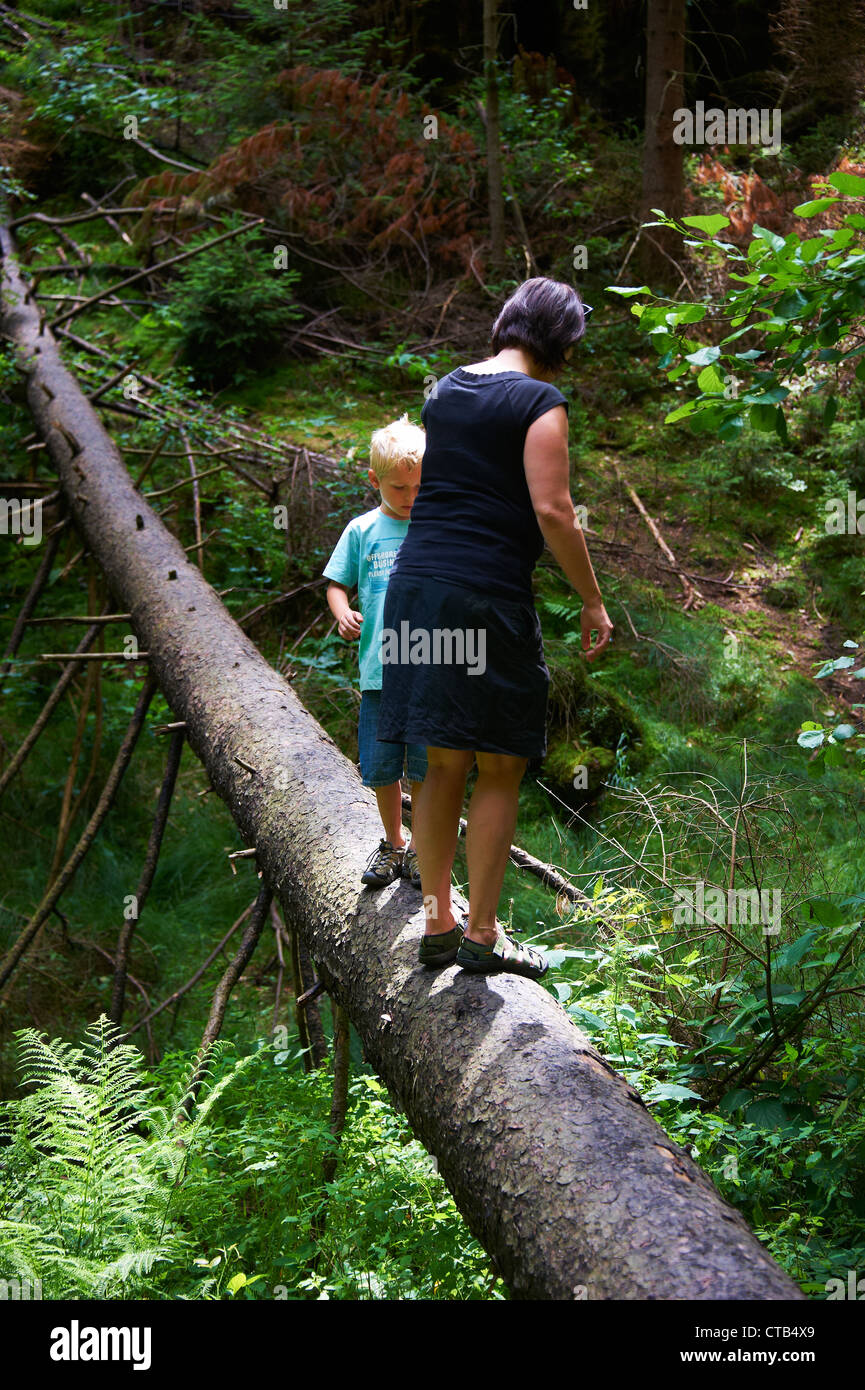 Child boy balancing tree trunk with mother in fores summer Stock Photo ...