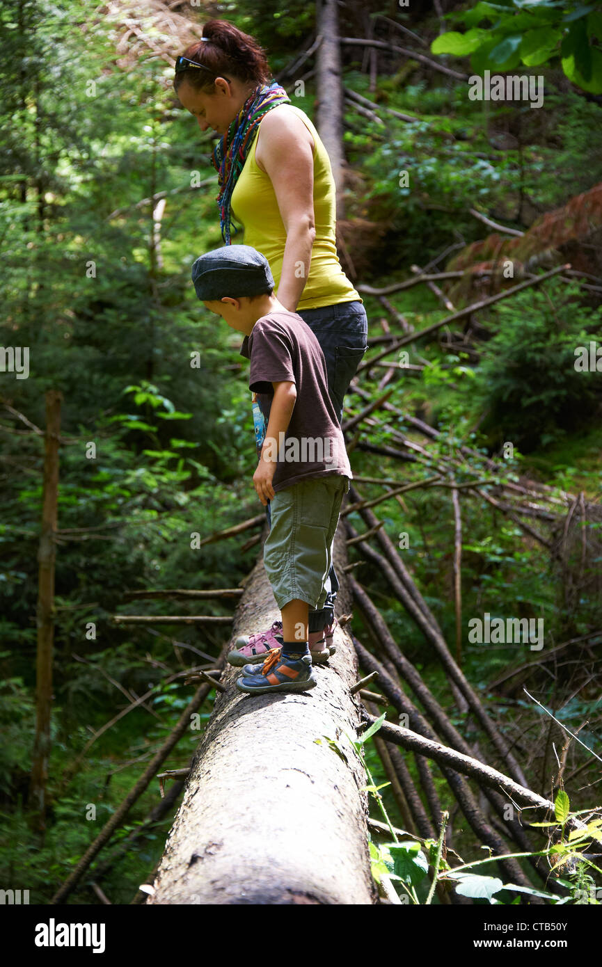 Child boy balancing tree trunk with mother in fores summer Stock Photo ...