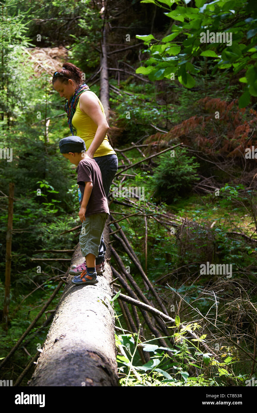 Child boy balancing tree trunk with mother in fores summer Stock Photo ...