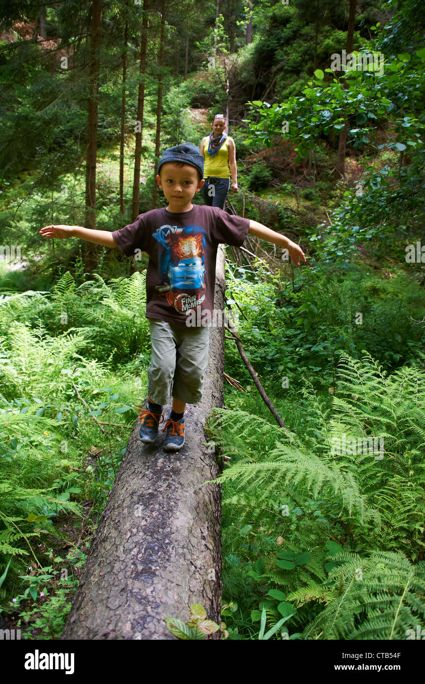 Child boy balancing tree trunk with mother in fores summer Stock Photo ...