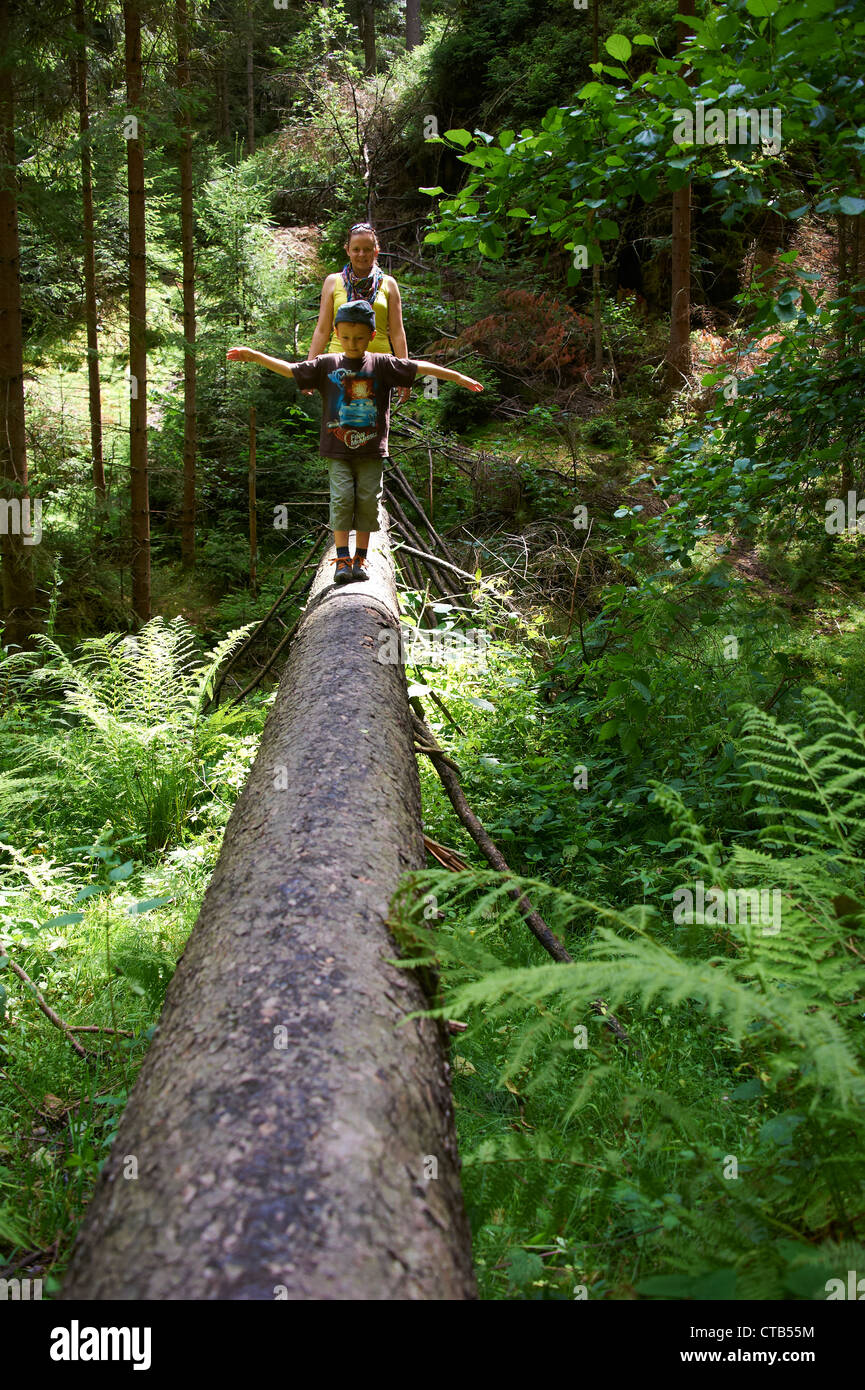 Child boy balancing tree trunk with mother in fores summer Stock Photo ...