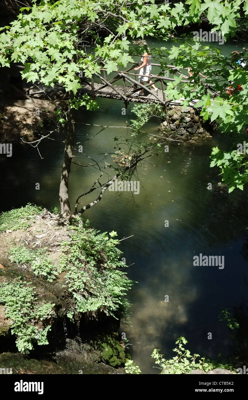 Small wooden bridge across a little lake in a tropical forest Stock ...