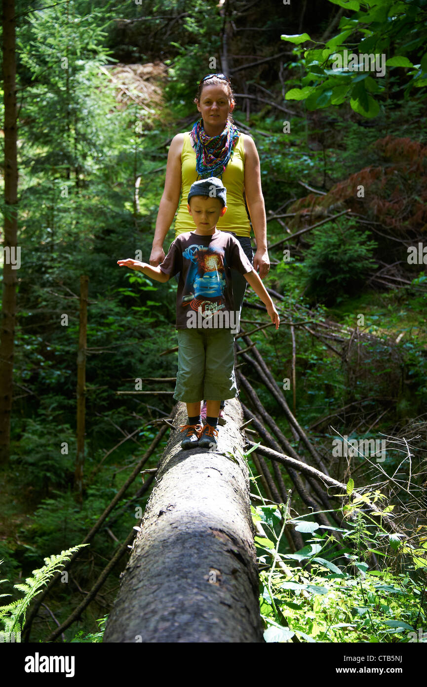 Child boy balancing tree trunk with mother in fores summer Stock Photo ...
