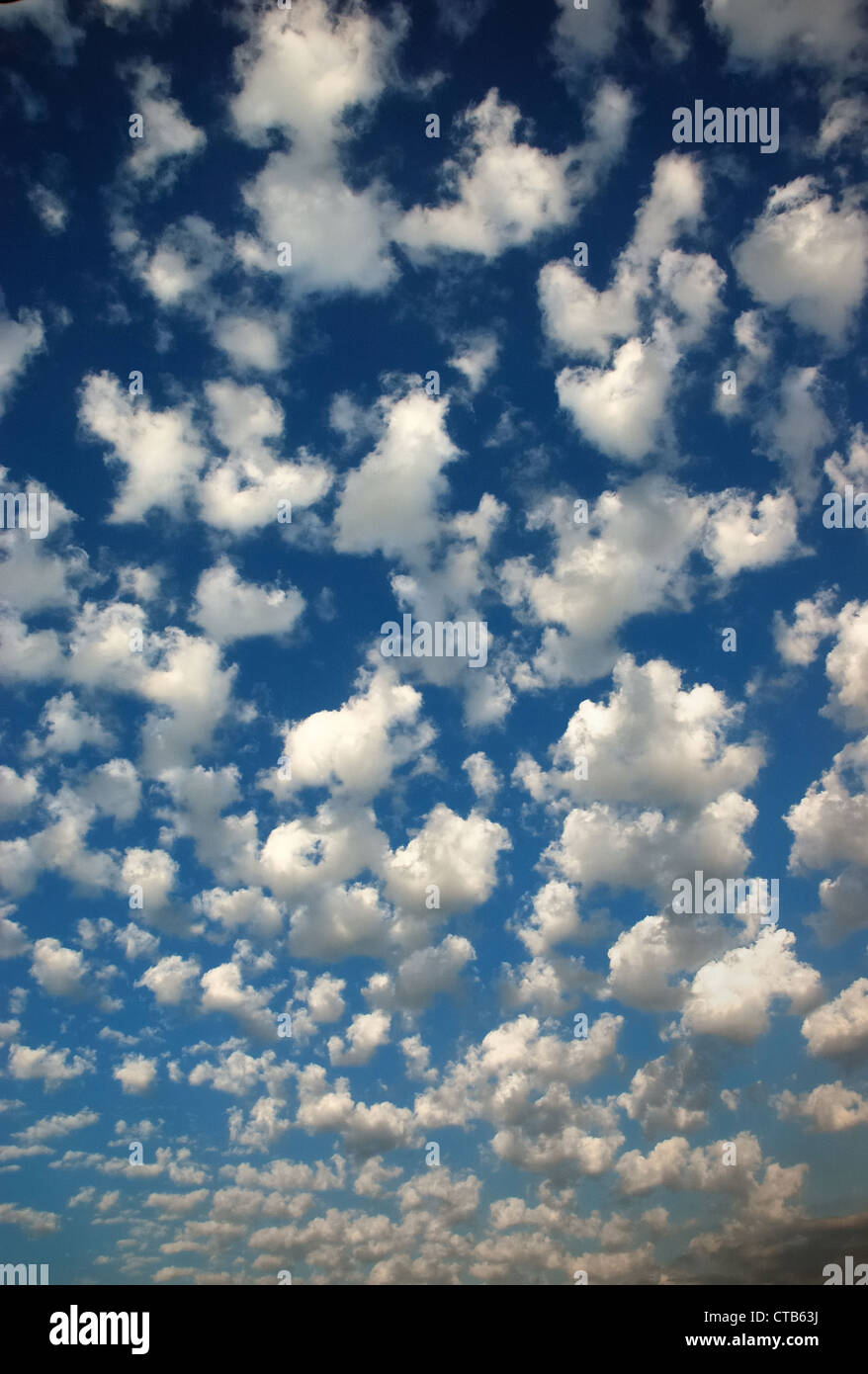 Early morning: blue sky with fluffy clouds Stock Photo - Alamy