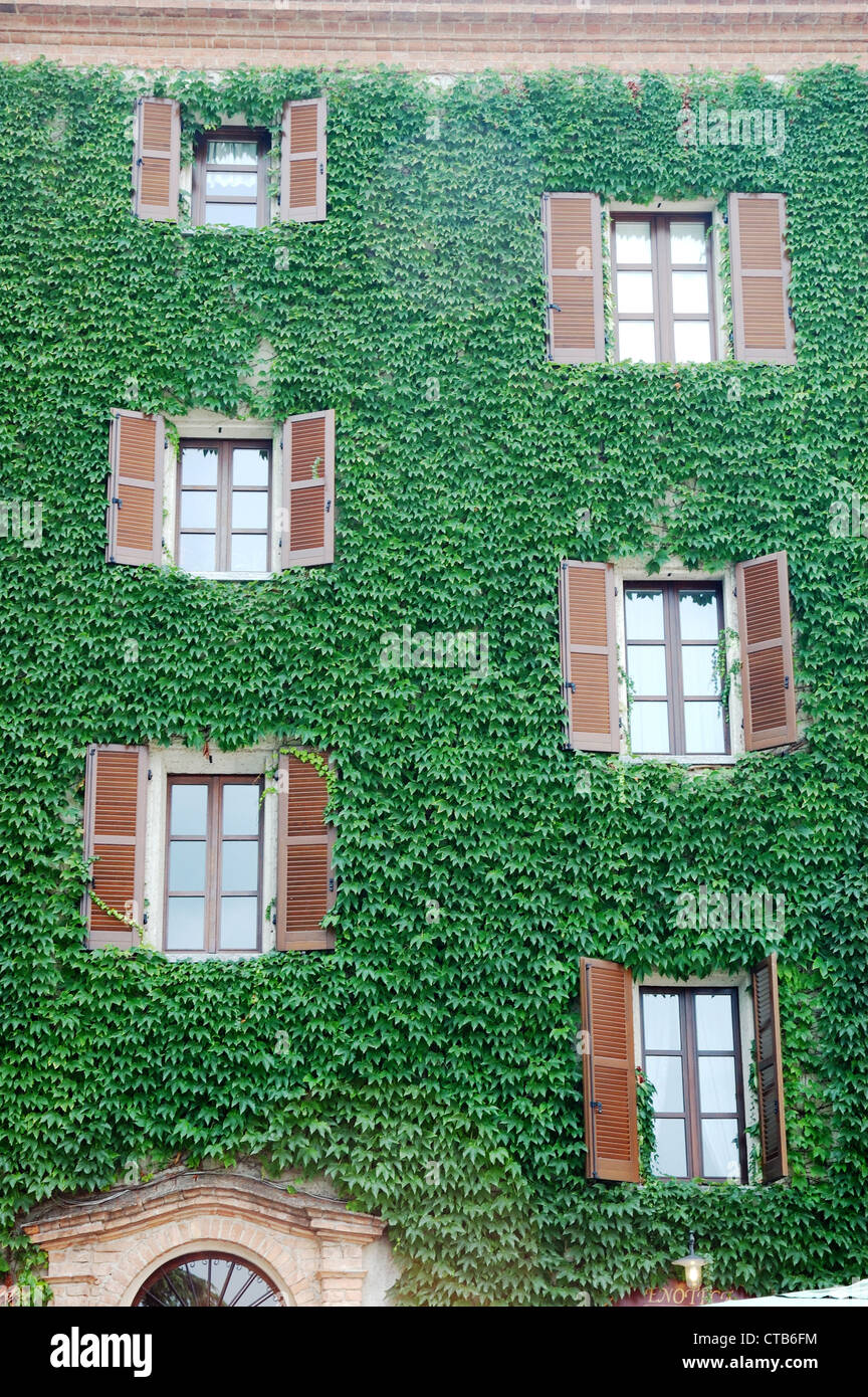 Italian house wall covered by an ivy Stock Photo - Alamy