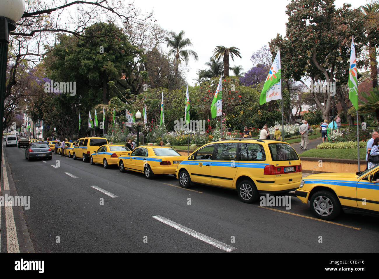 Taxies waiting on taxi stand waiting in a row at Funchal, Madeira, Portugal, Europe. Photo by ...