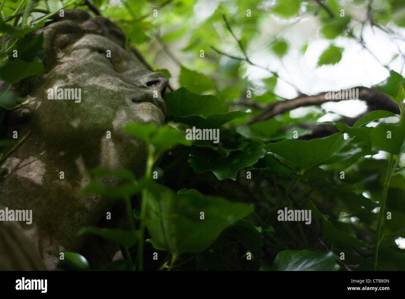 Closeup of a stone carving of an angels face with a serene, reflective ...
