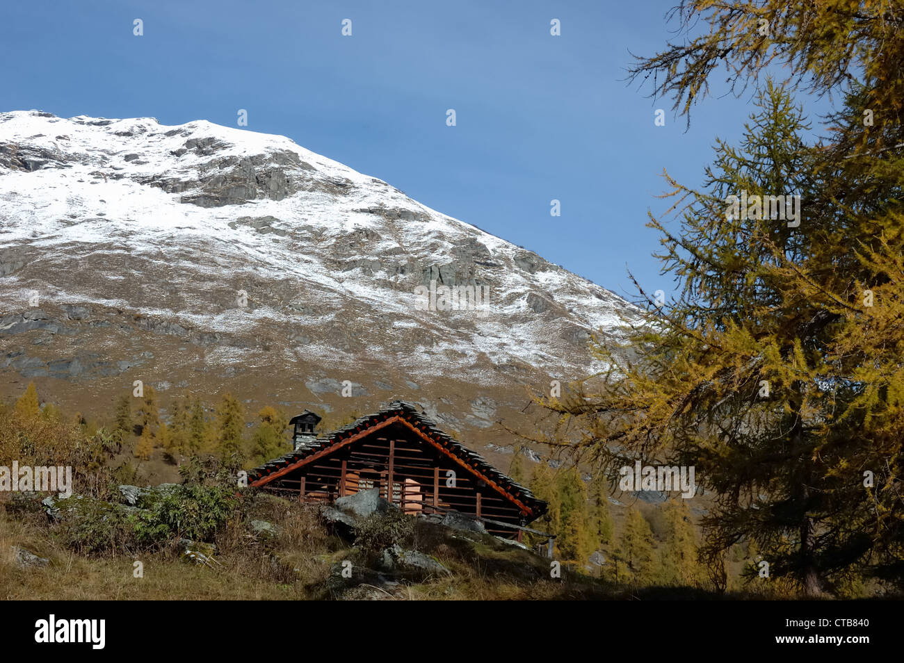 Tipical 'Walser' house of an ancient mountain village; west Alps, Italy ...