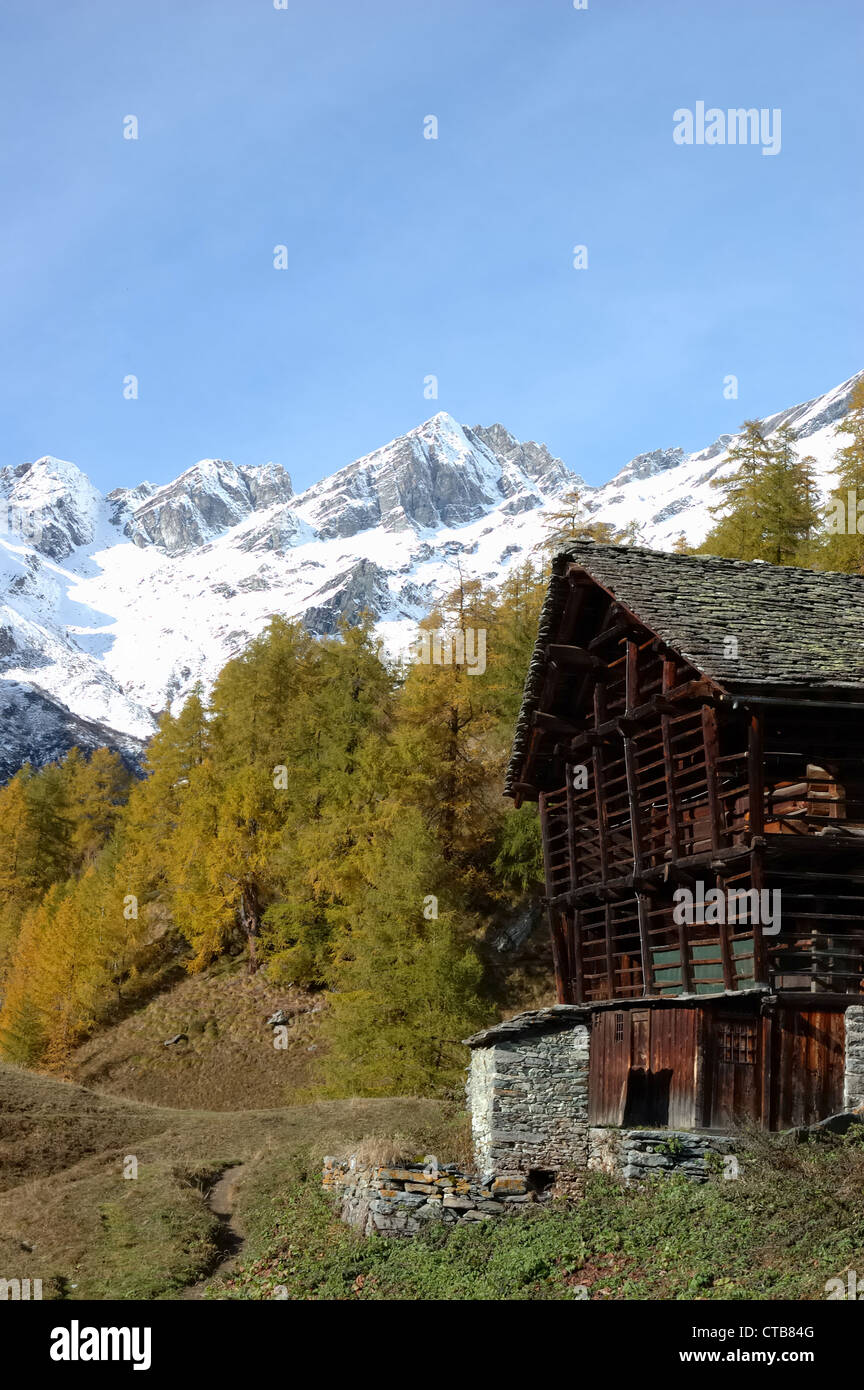 Tipical 'Walser' house of an ancient mountain village; west Alps, Italy ...