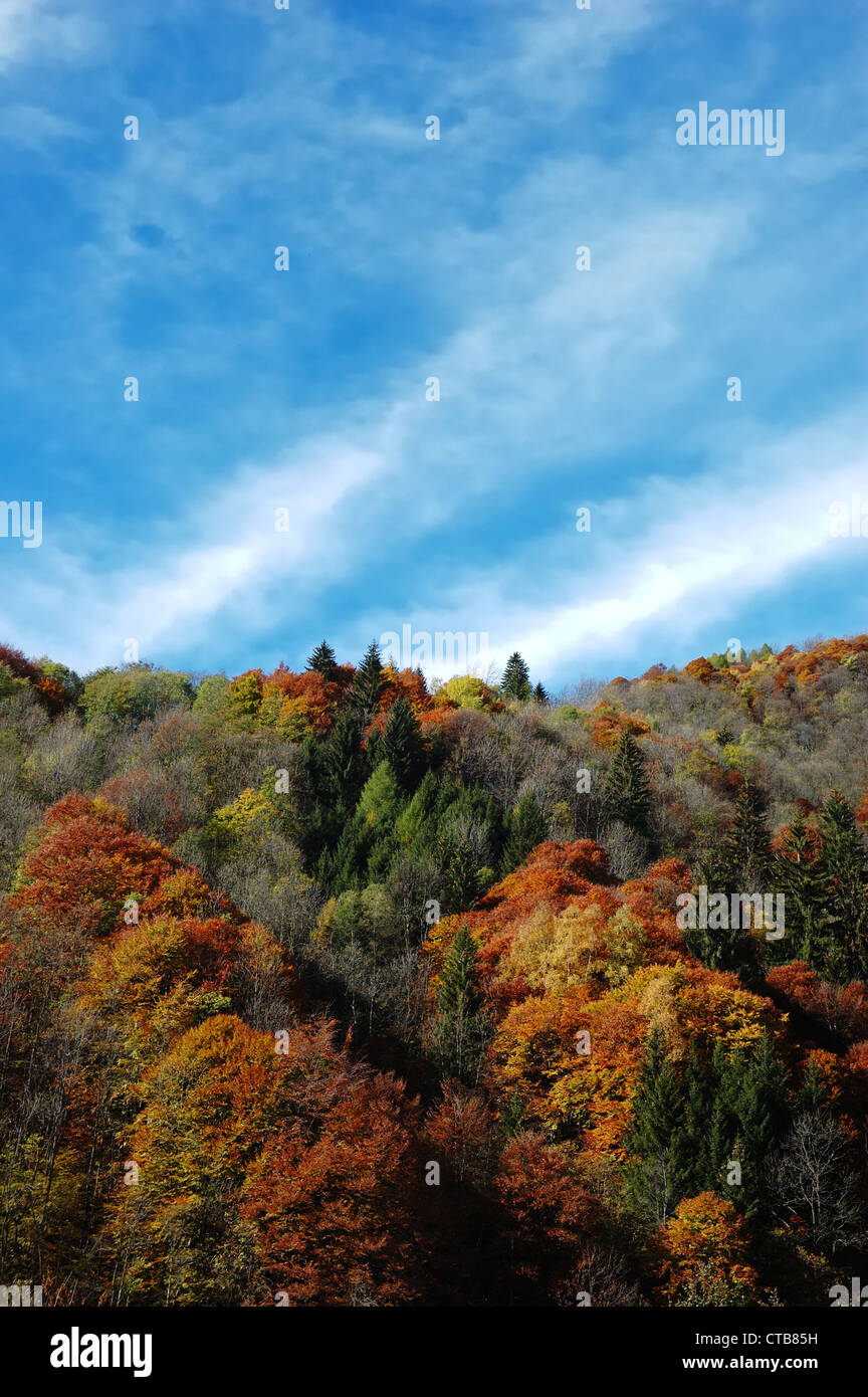 Changing colors in the Alps during early Fall; Italy Stock Photo - Alamy