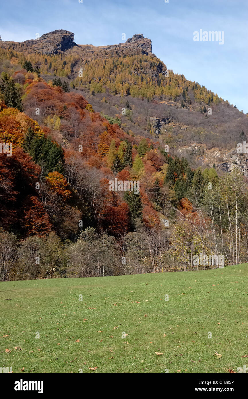 Changing colors in the Alps during early Fall; Italy Stock Photo - Alamy