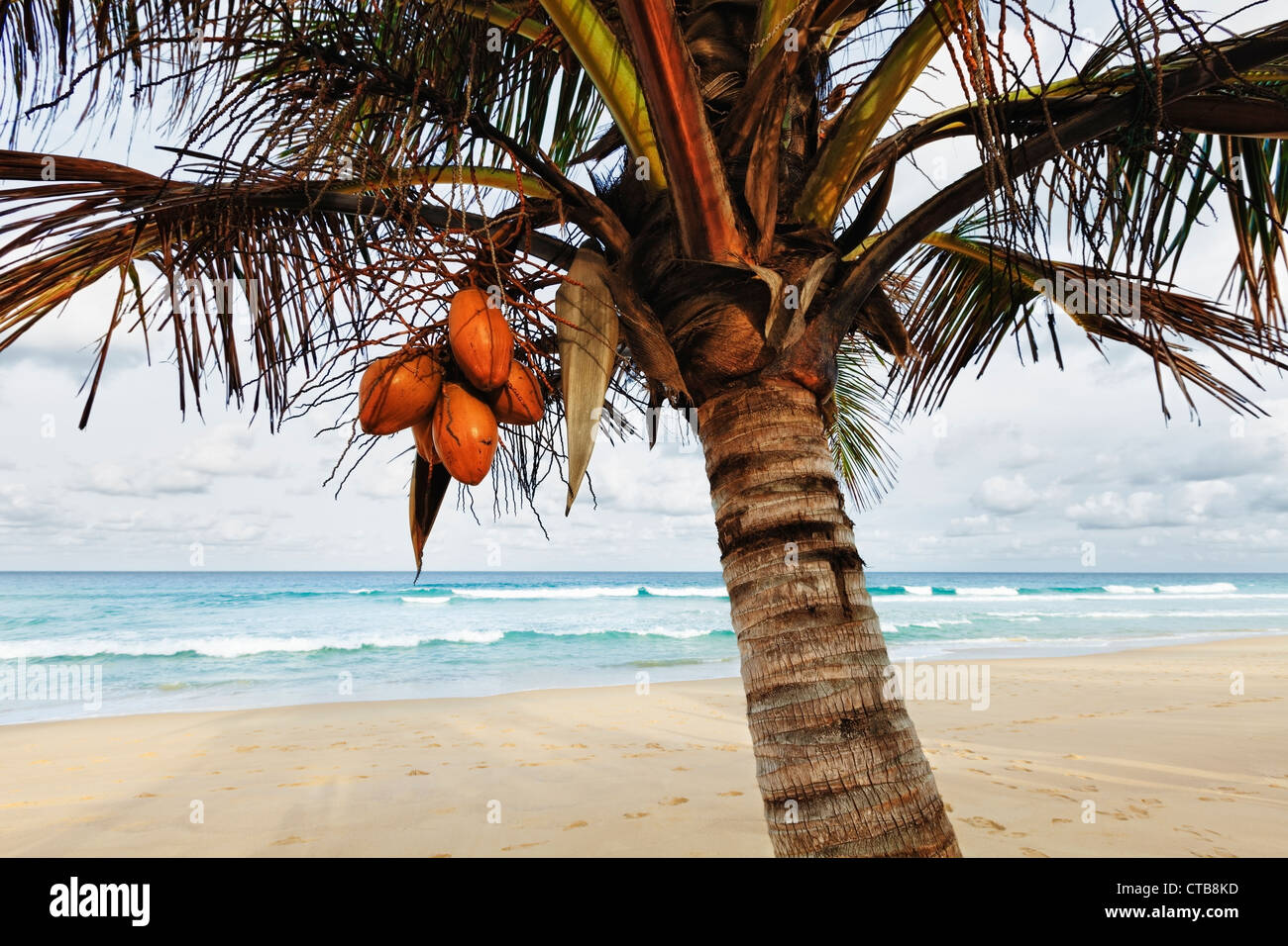 Tropical beach at low season. Shallow depth of field Stock Photo - Alamy