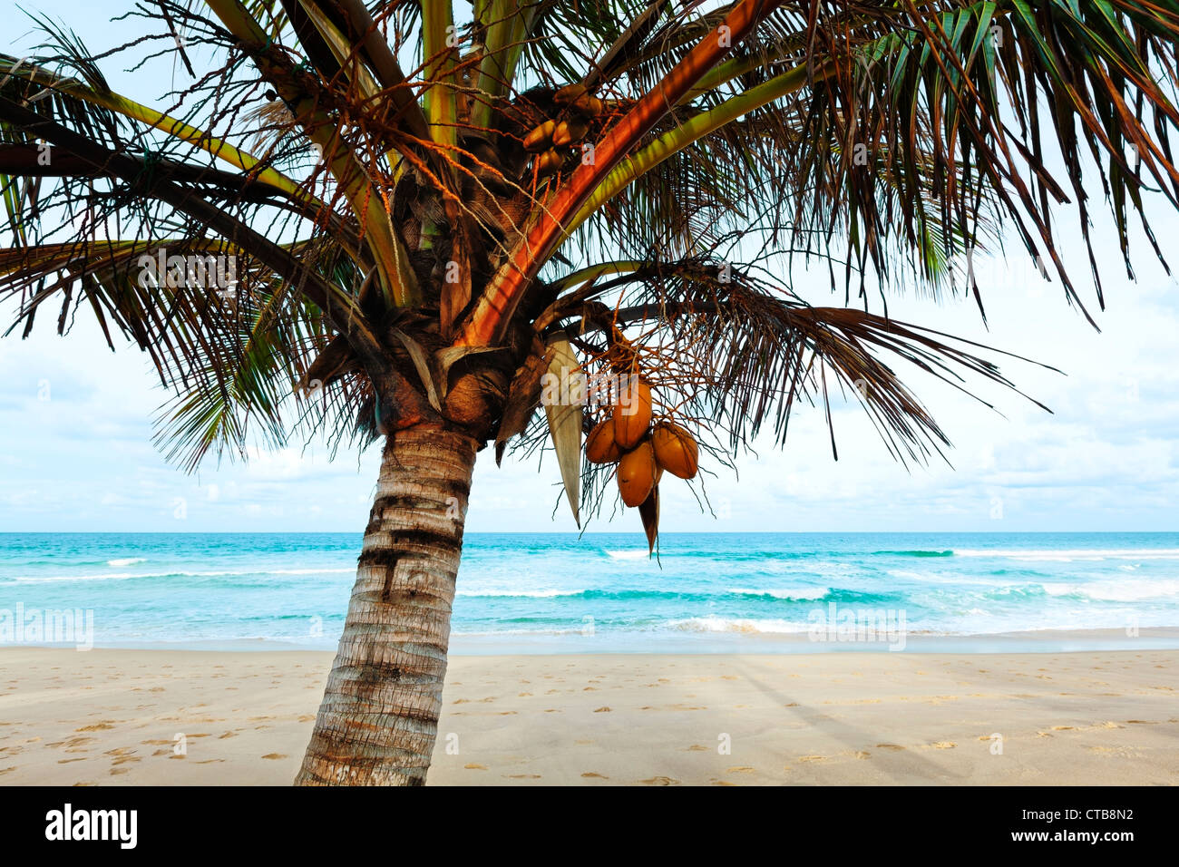 Tropical beach at low season Stock Photo - Alamy