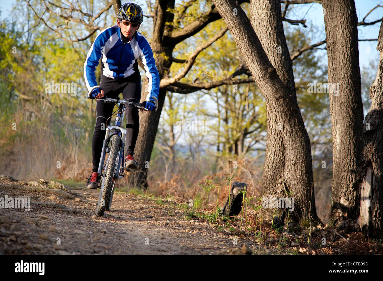 A mountain biker riding through a trail Stock Photo - Alamy