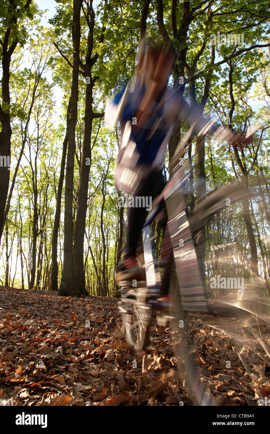 A mountain biker riding through a trail Stock Photo - Alamy
