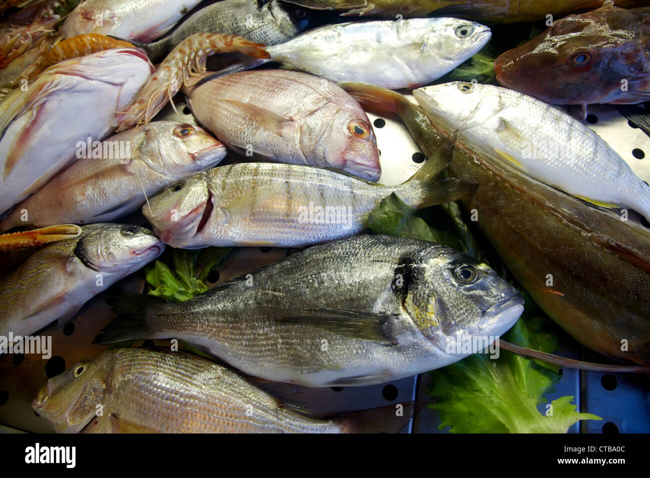 A selection of various fresh fish on fishmarket Stock Photo - Alamy