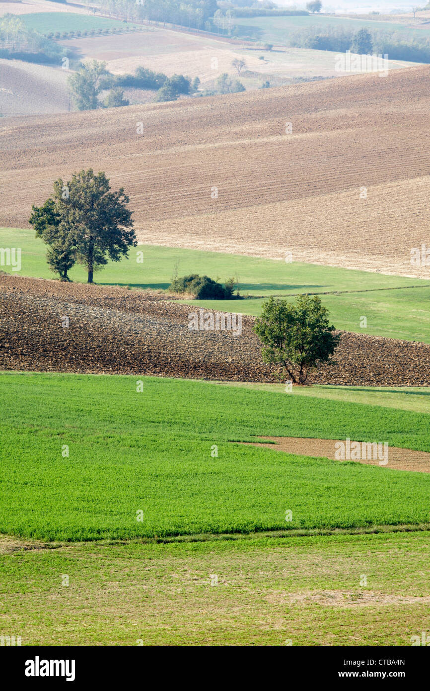 countryside landscape: field and meadow in north Italy Stock Photo - Alamy