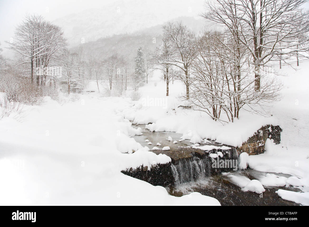 Winter scenic: mountain river in a snowy field Stock Photo - Alamy