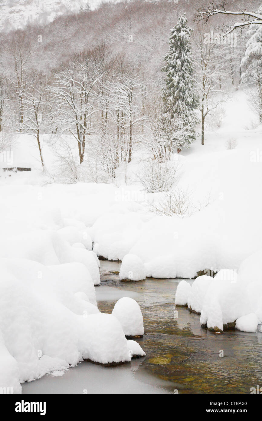 Winter scenic: mountain river in a snowy field Stock Photo - Alamy