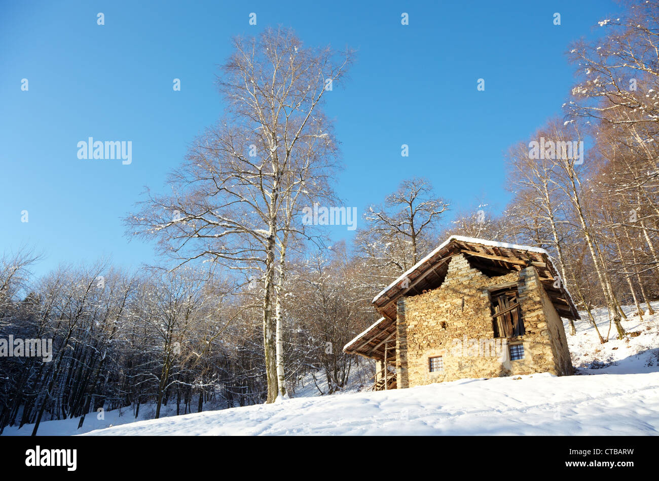 Old rural house in a snowy clearing; west Alps, Italy Stock Photo - Alamy