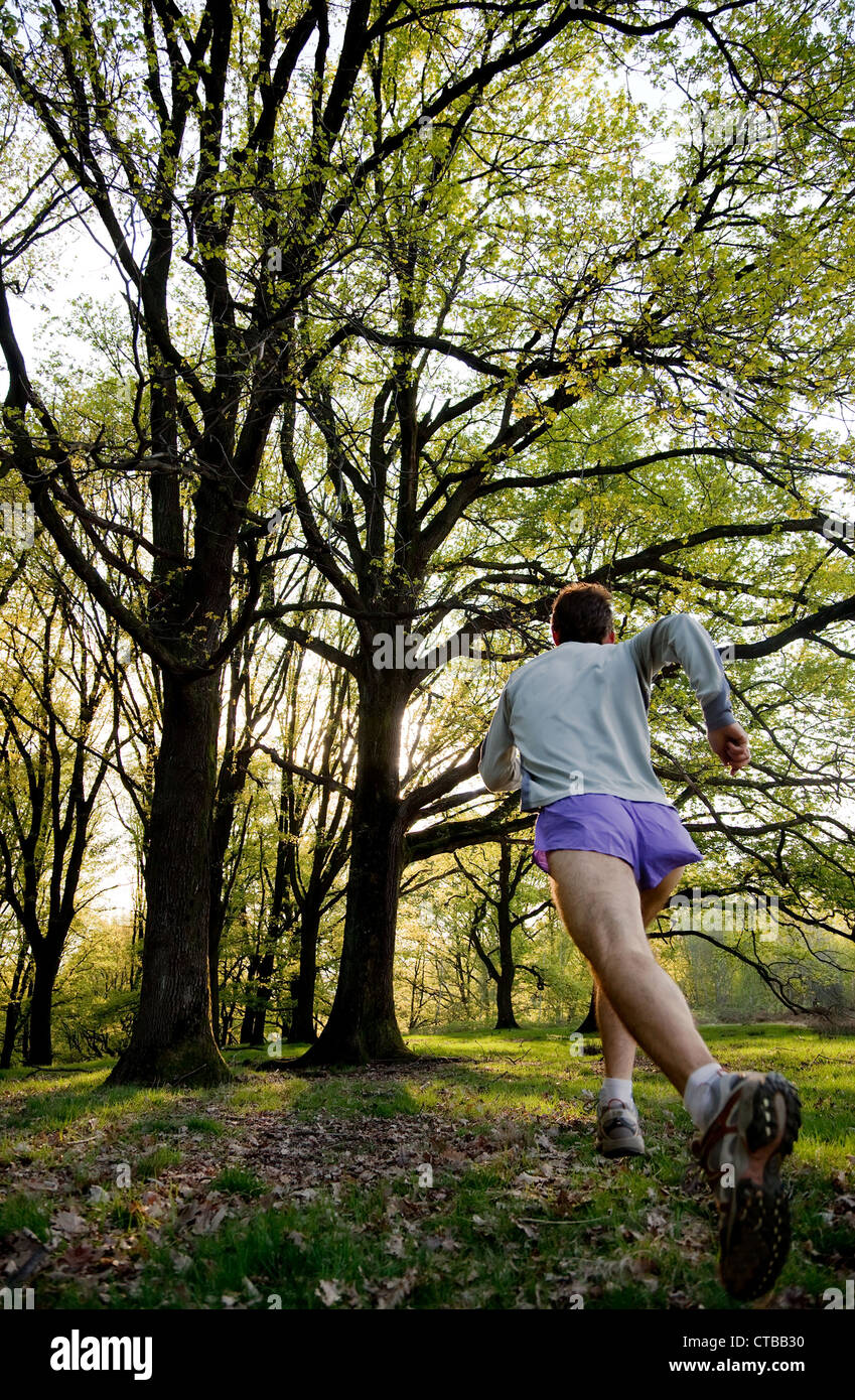 Young man trail running in a forest hi-res stock photography and images ...