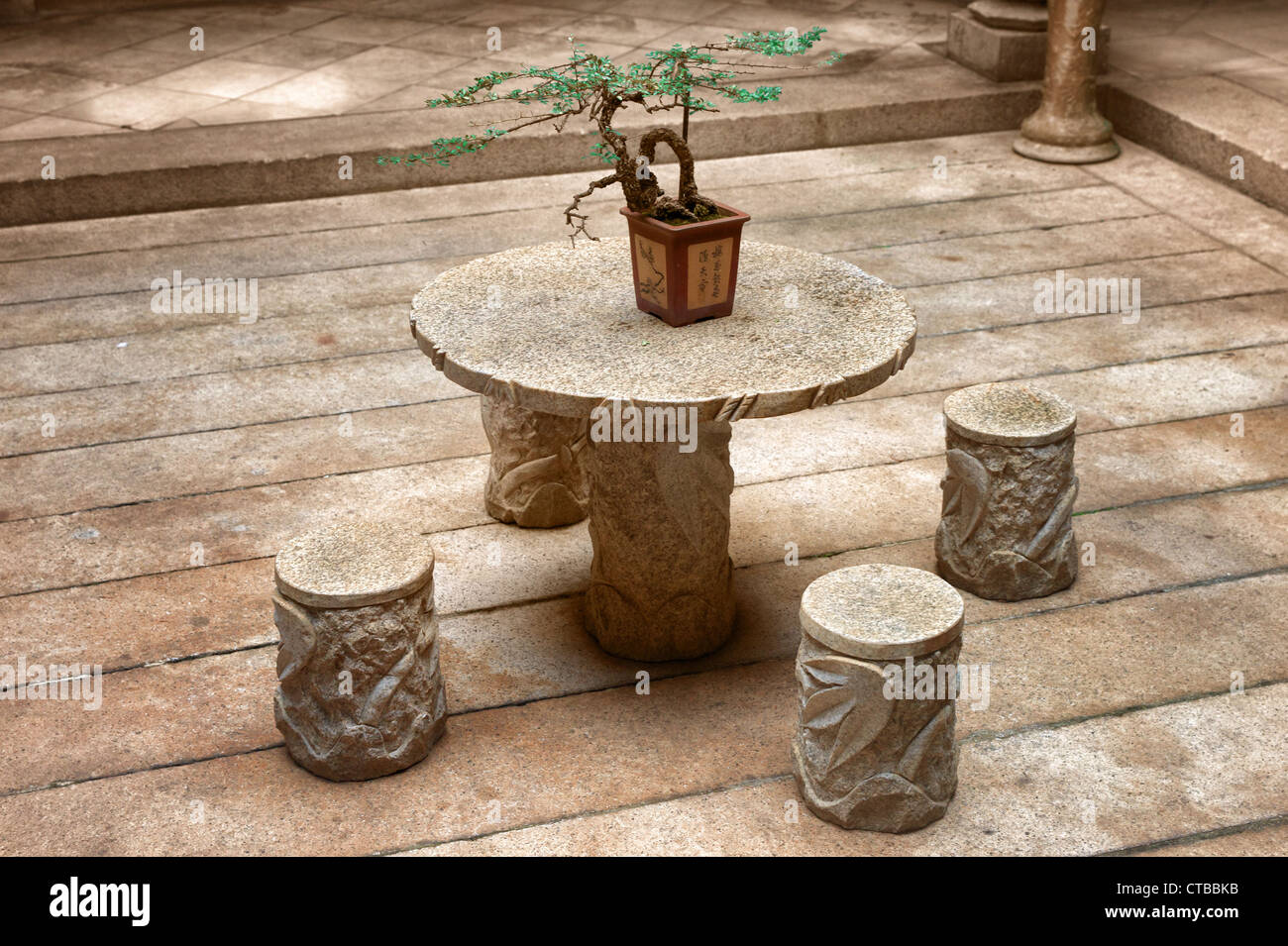 bonsai plant on a stone outdoor table Stock Photo - Alamy